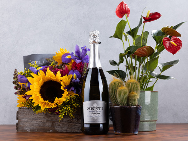 Surprising Wine Cups Flower Photos