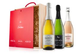 Buy Prosecco Gifts Online | Virgin Wines
