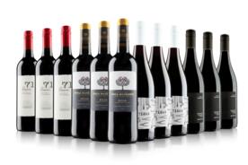 All Wine Cases - Buy Cases of Wine Online | Virgin Wines