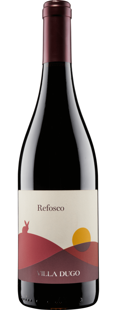 Villa Dugo Refosco | Virgin Wines