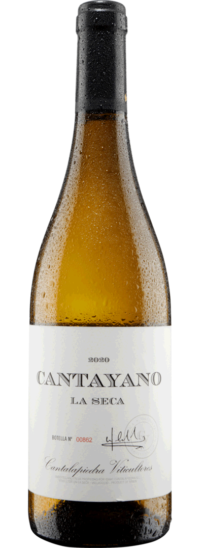 Isaac Cantalapiedra Cantayano Verdejo | Virgin Wines
