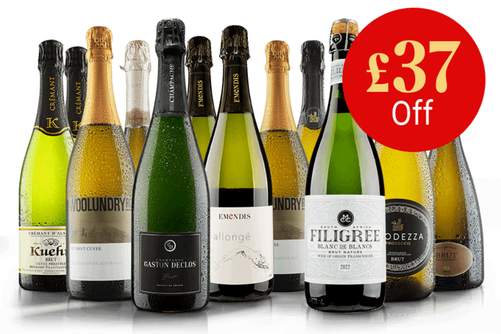 Festive Fizz Case