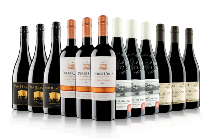 Aficionados Only 12 Bottle Red Wine Case | Red Wine Cases | Virgin Wines