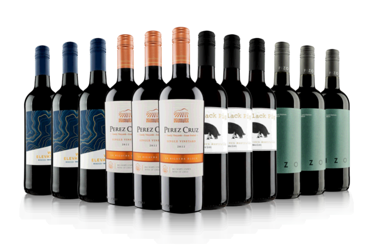 Legendary Winemakers Red Wine Case | Red Wine Cases | Virgin Wines