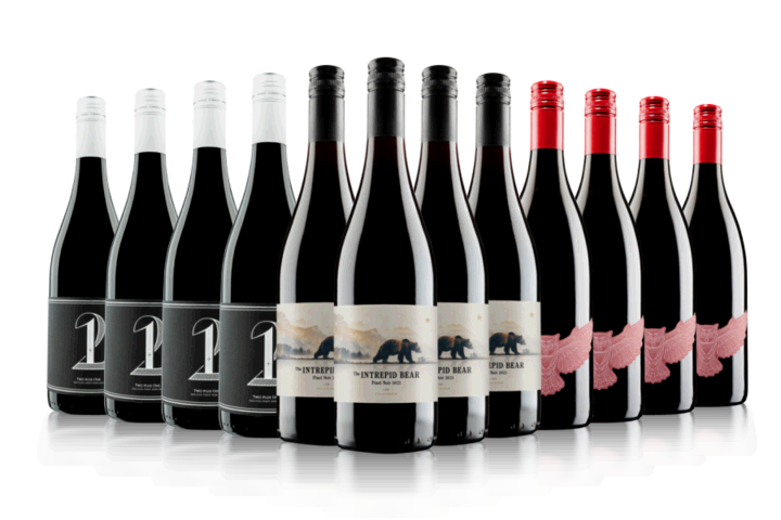 Grape Focus - Pinot Noir | Red Wine Cases | Virgin Wines