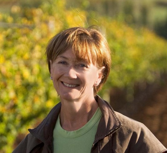 Mount Horrocks Cordon Cut Riesling | Virgin Wines